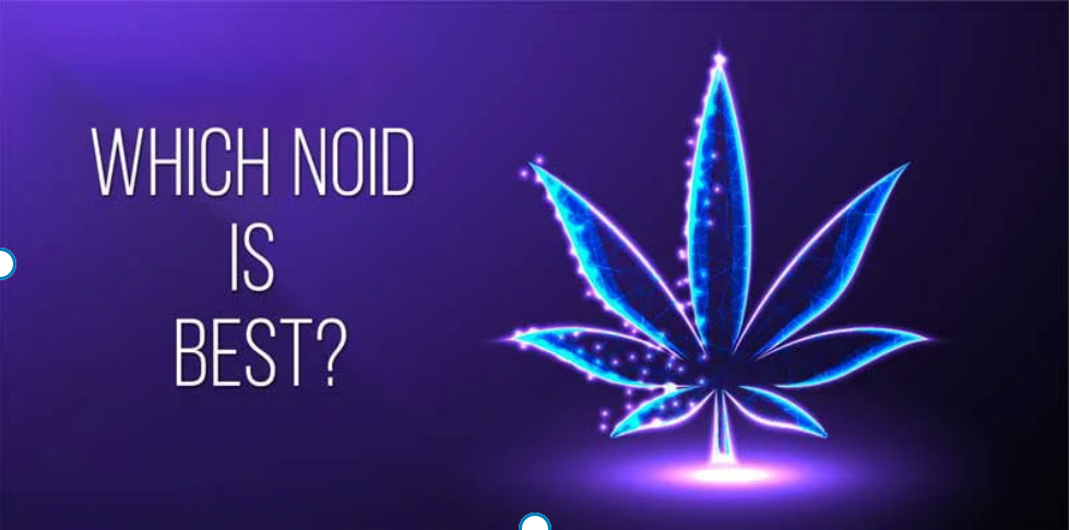 Which noid is best? - K2 Legal High Incense | Herbal Incense Online ...
